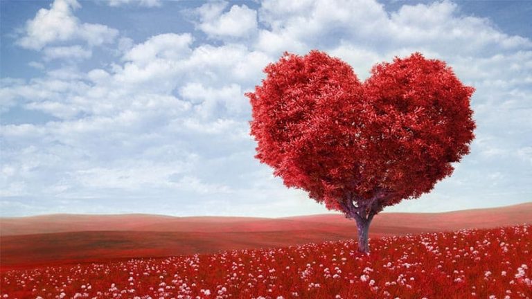 Valentynsdag gedig vir Afrikaans - INK