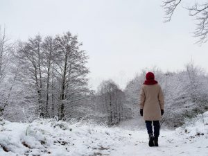 Vier seisoene winter - INK